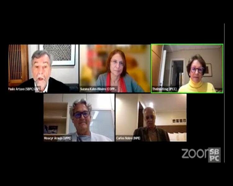 Conter os impactos das mudanças climáticas no Brasil exige preservação ...